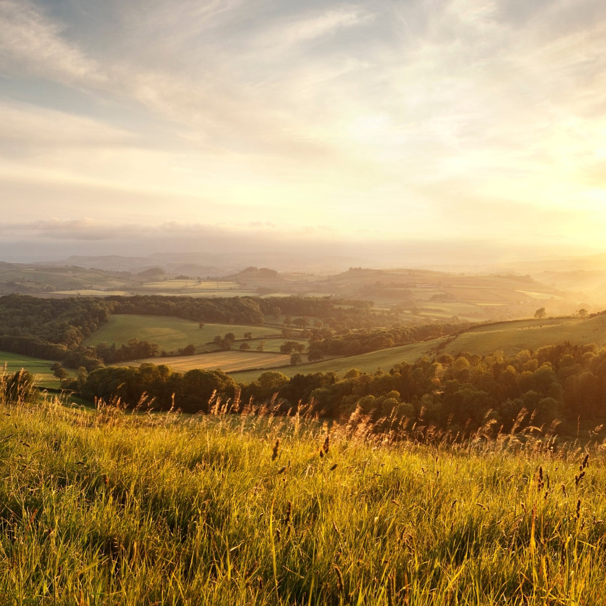 Quill Productions | Farming & Gamekeeping Supplies | Clearance