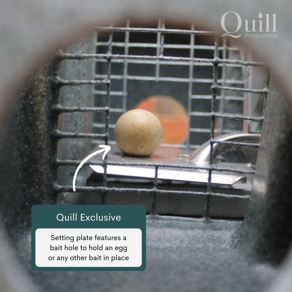 Quill 150 Spring Trap | Rapid Head Kill Trap | For killing Stoats ...