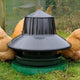 King Feeder for Poultry and Game Birds – Quill Productions