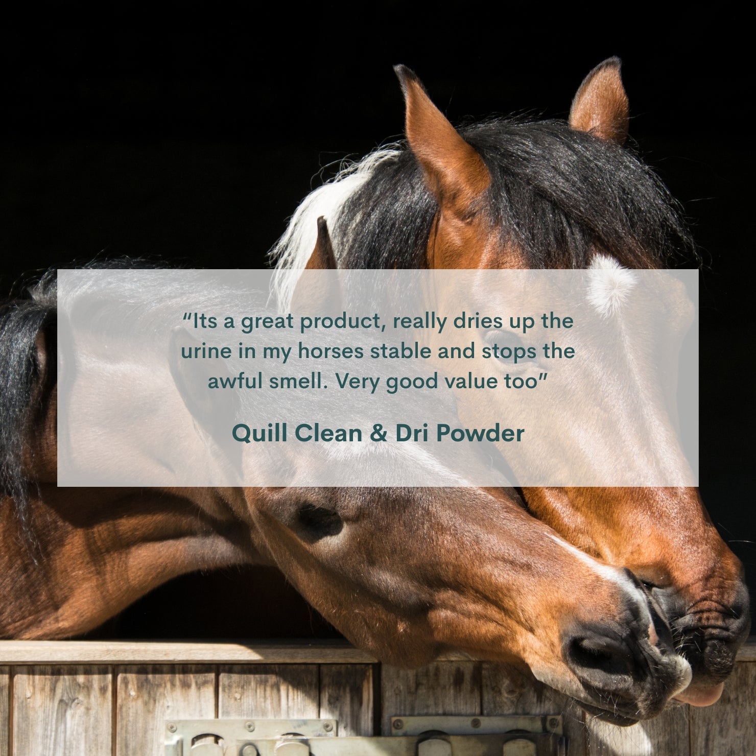 FAM 30 Iodophor Defra Approved Disinfectant – Quill Productions