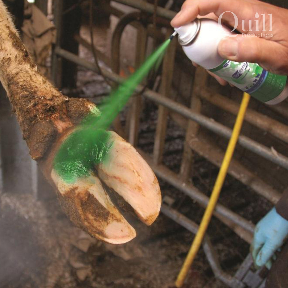 Intra Repiderma Hoof and Skin Spray for Animals – Quill Productions