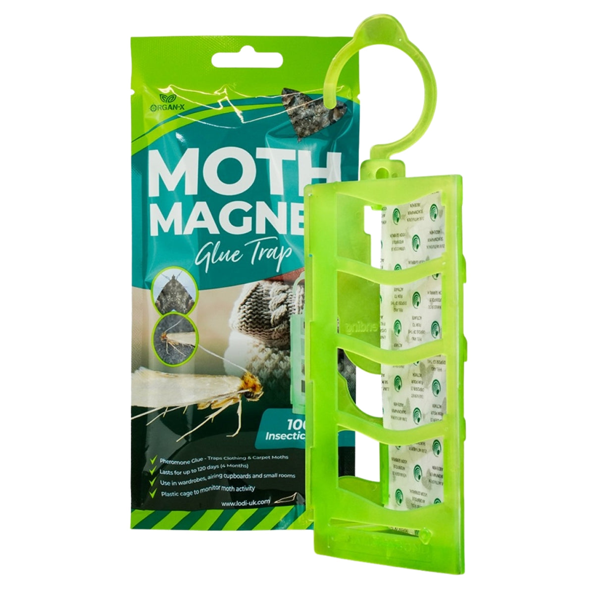 Organ-X Moth Magnet – Quill Productions