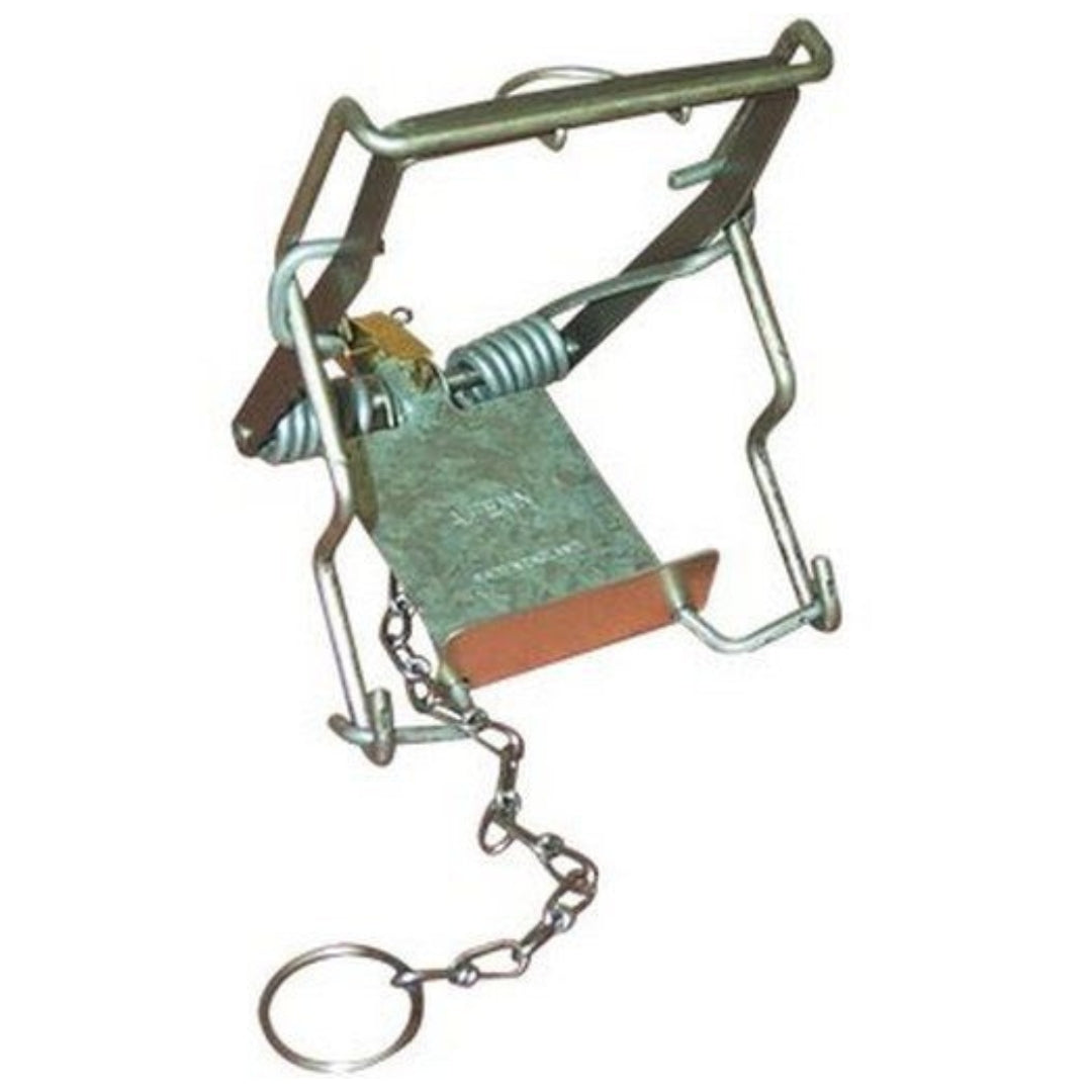 Genuine MK6 Fenn Spring Trap for Mink, Squirrels, Weasels & Rats ...