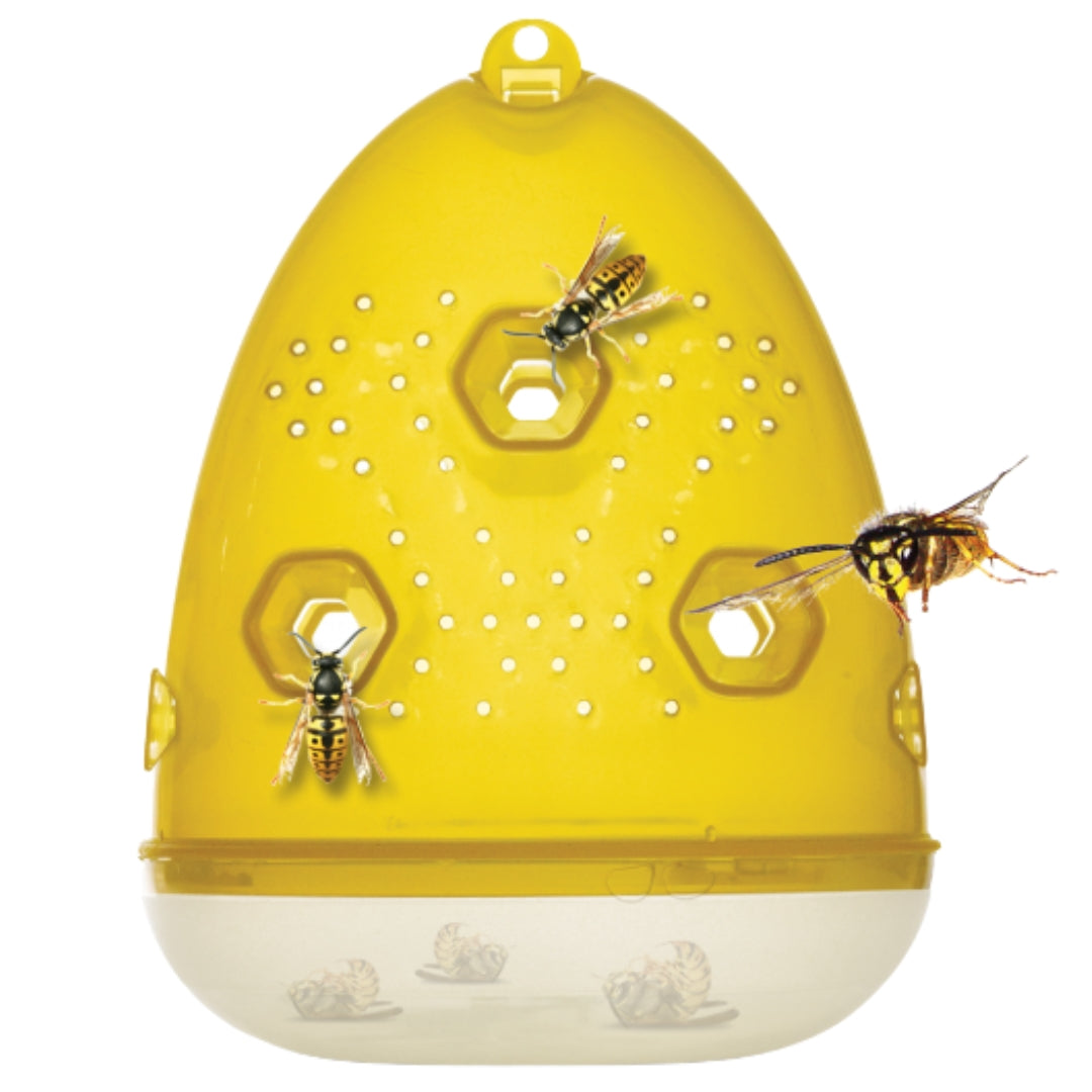 Organ-X Wasp Trap – Quill Productions