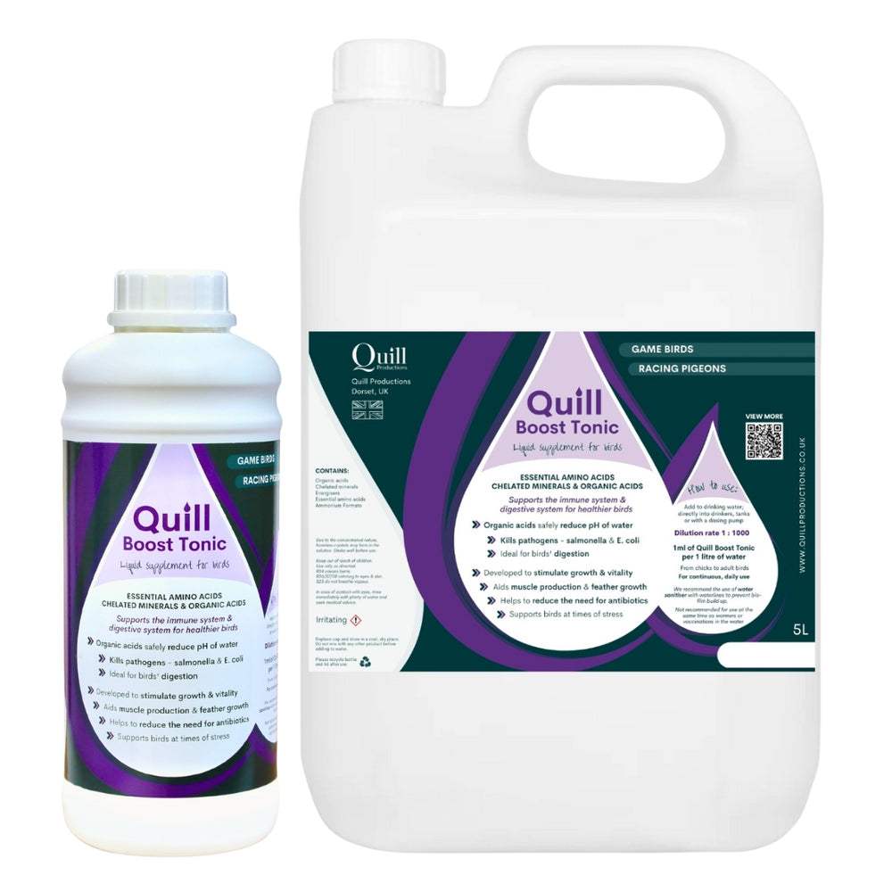 Quill Blog Products – Quill Productions
