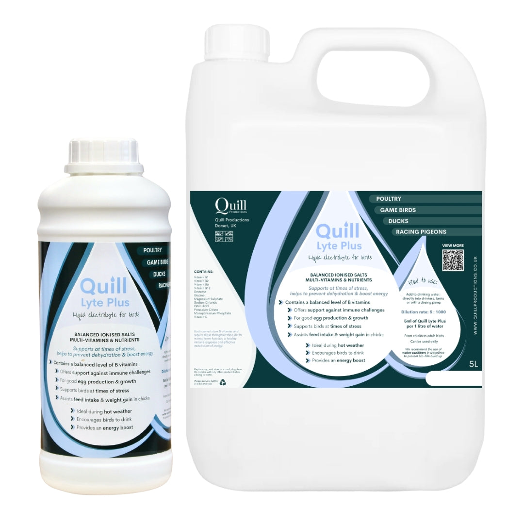 Quill Boost Tonic Organic Acid Supplement for Birds – Quill Productions