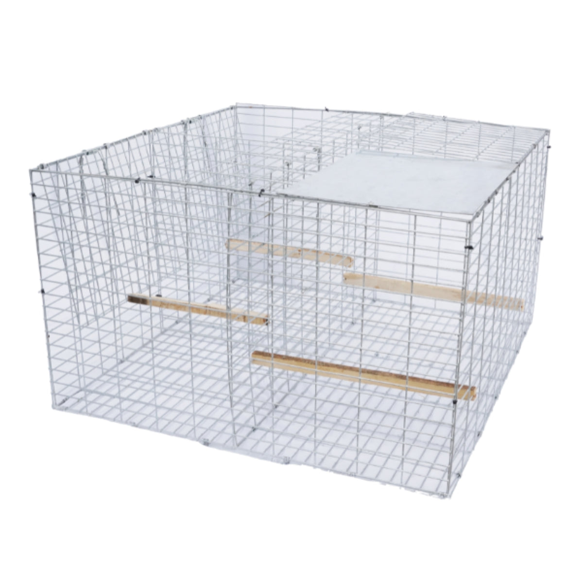Racan Larsen Cage Trap – Quill Productions