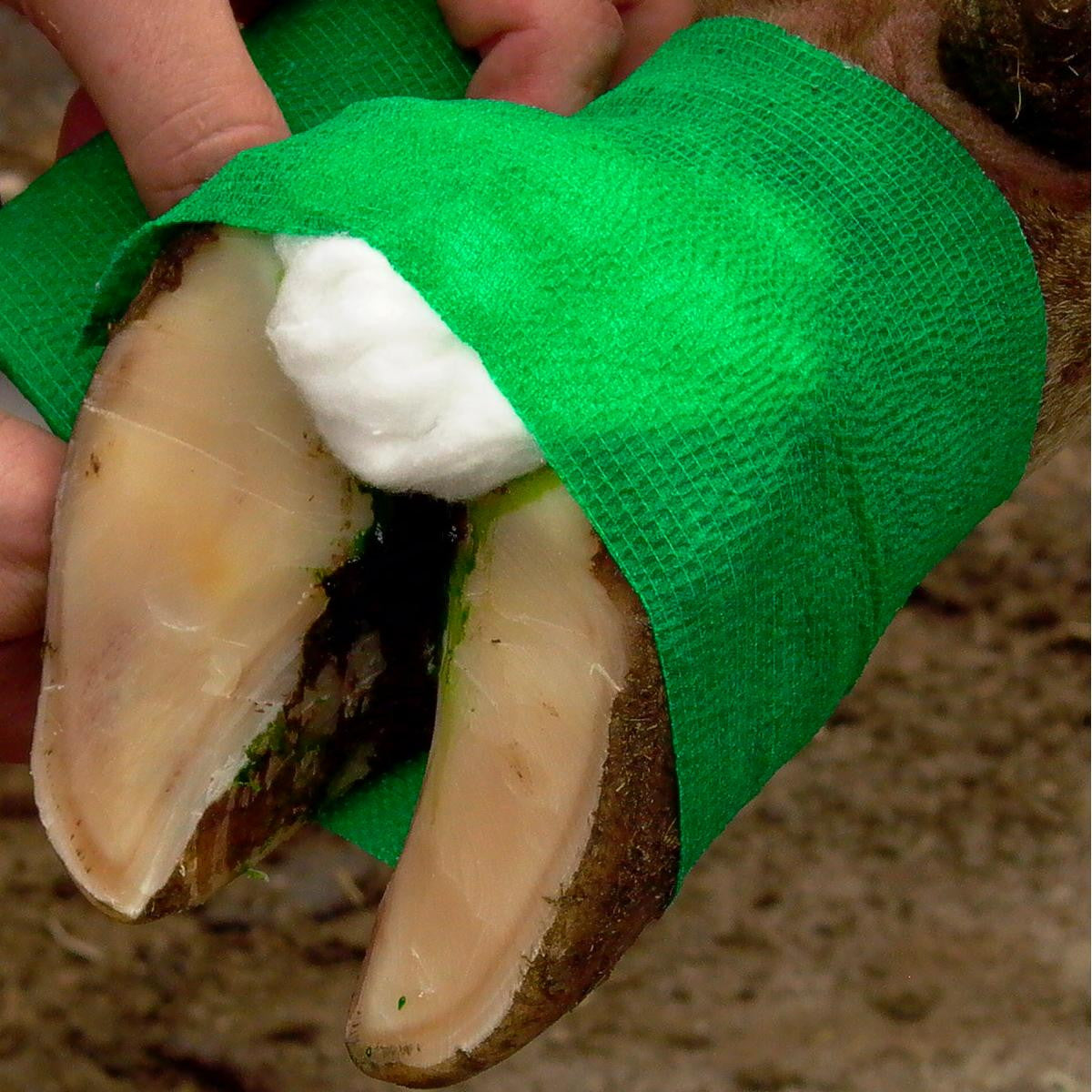 Hoof Care | Intracare Foot Tape | Hoof-fit Range – Quill Productions